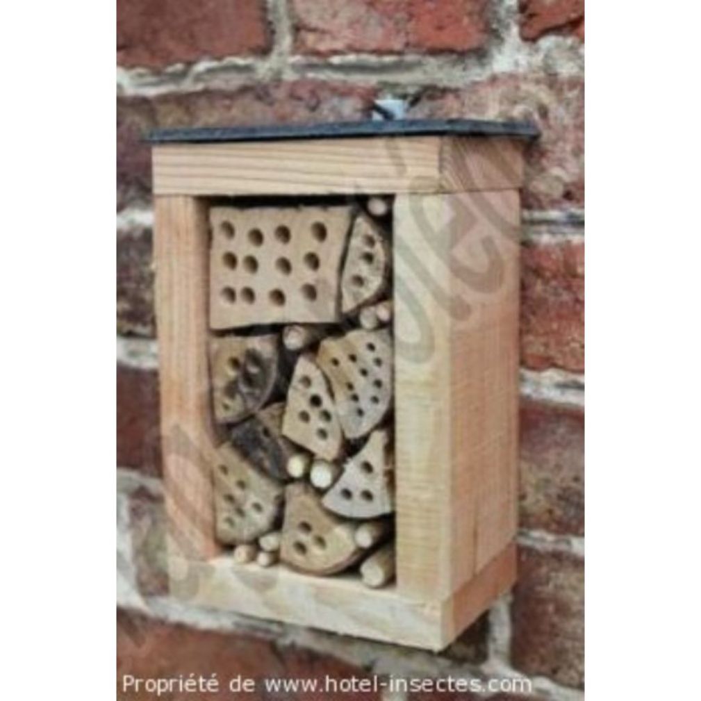 Boîte à insectes | La Plaine